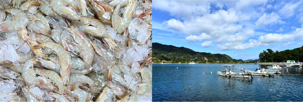 調達事業ご紹介 | トミー食品株式会社